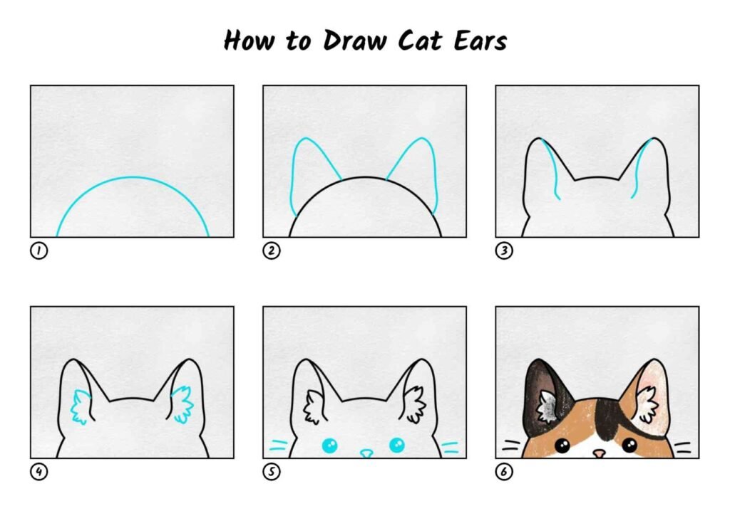 How To Draw Cat Ears
